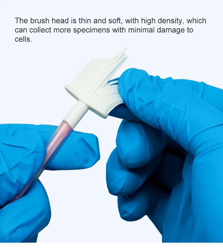 Disposable Cervical Brush Cervical Cyto Sampling Brush Cervical ...