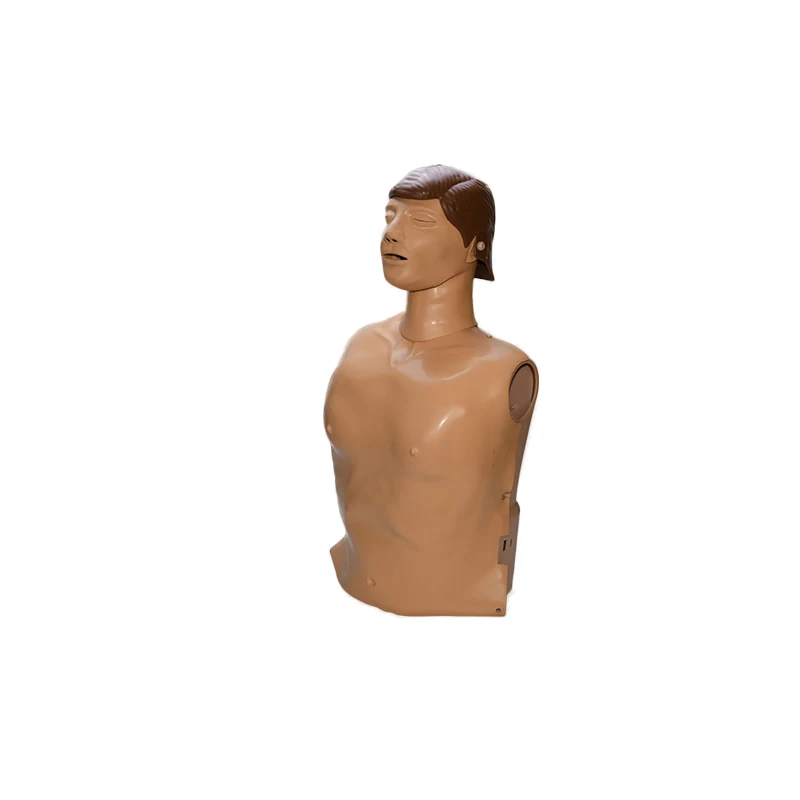 First Aid CPR Training Model - Essential Teaching Resources