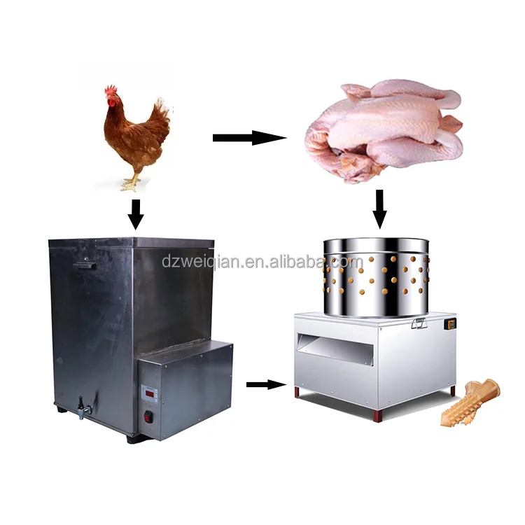 Automatic Chicken Scalder Machine/poultry Plucker/poultry Scalding ...