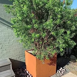 JH-Mech Corten Steel Outdoor Plant Box Custom Garden Plant Flower Pots ...