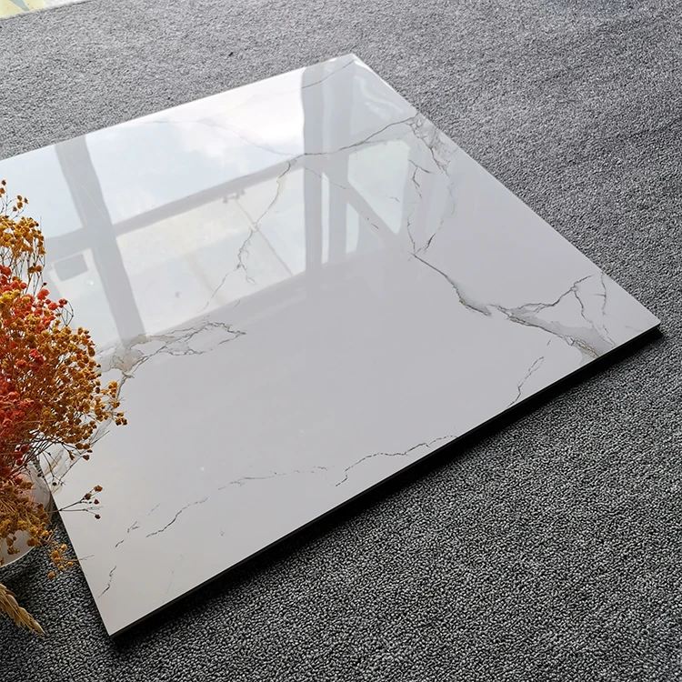 Polished Homogeneous Floor Tiles - Durable & Stylish