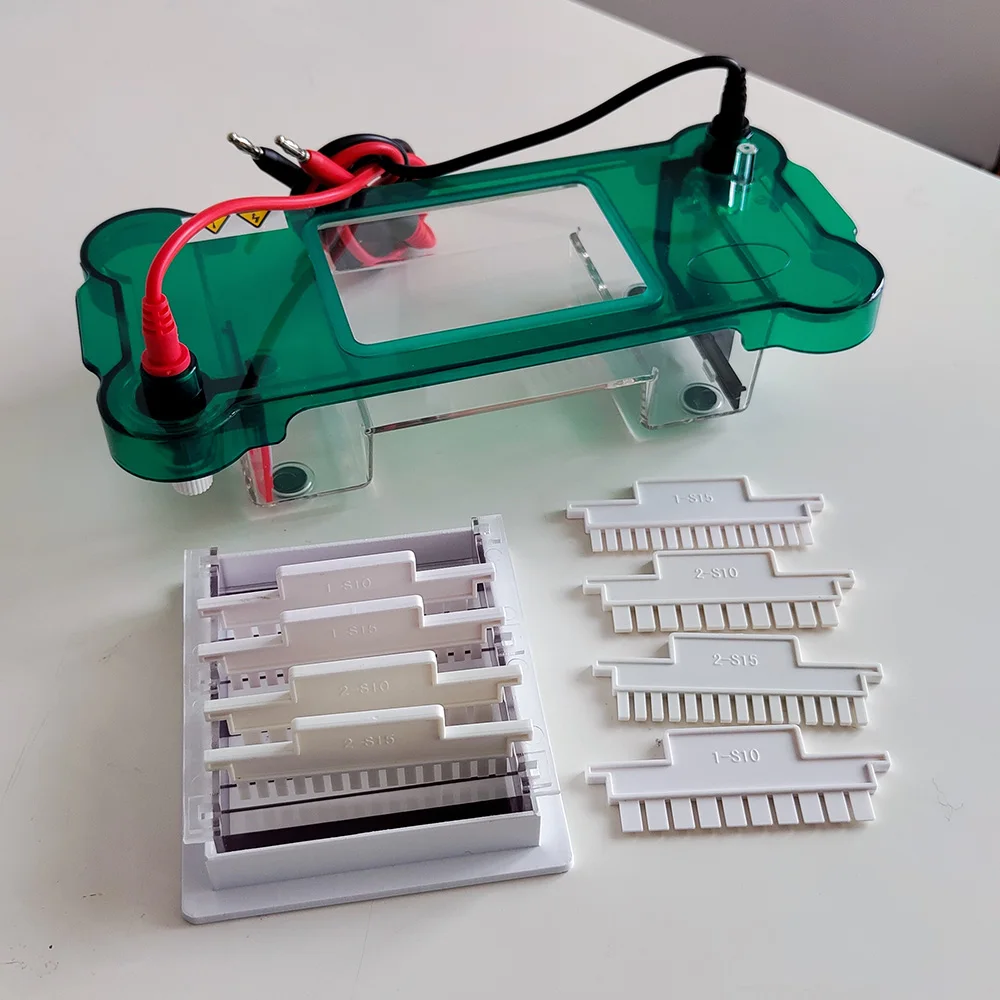 DW-SPBT Lab Agarose Gel DNA RNA or PCR Electrophoresis Cell