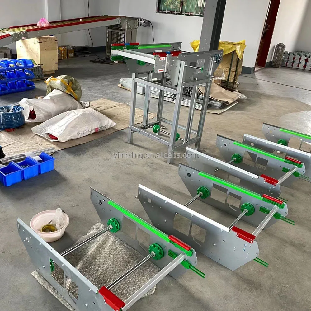 Egg Transport Chain Conveyor - Durable & Efficient Solutions