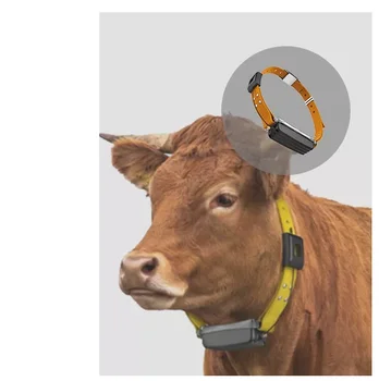 Lorawan Gps Cattle Collar Waterproof Tracking For Cow Livestock - Buy ...