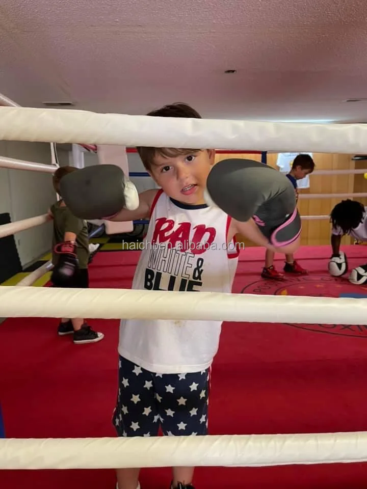 Factory Sale 20ft Size Boxing Ring Wrestling Ring For Training - Buy ...