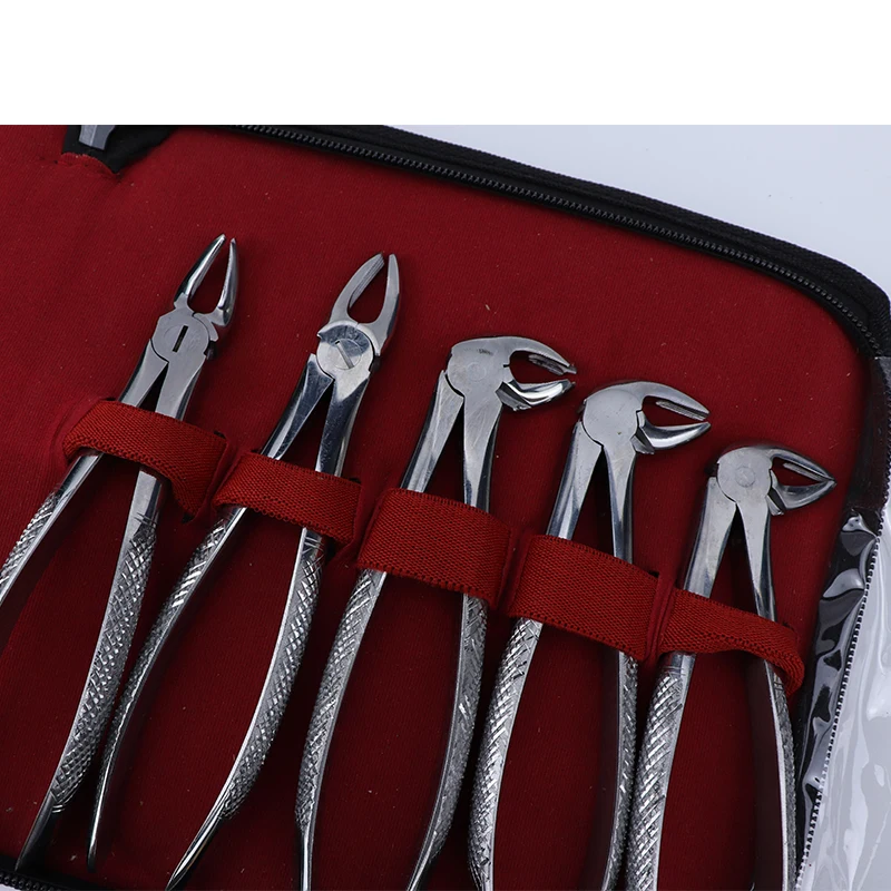 E-luck Dental Extracting Forceps - Quality Tooth Extraction