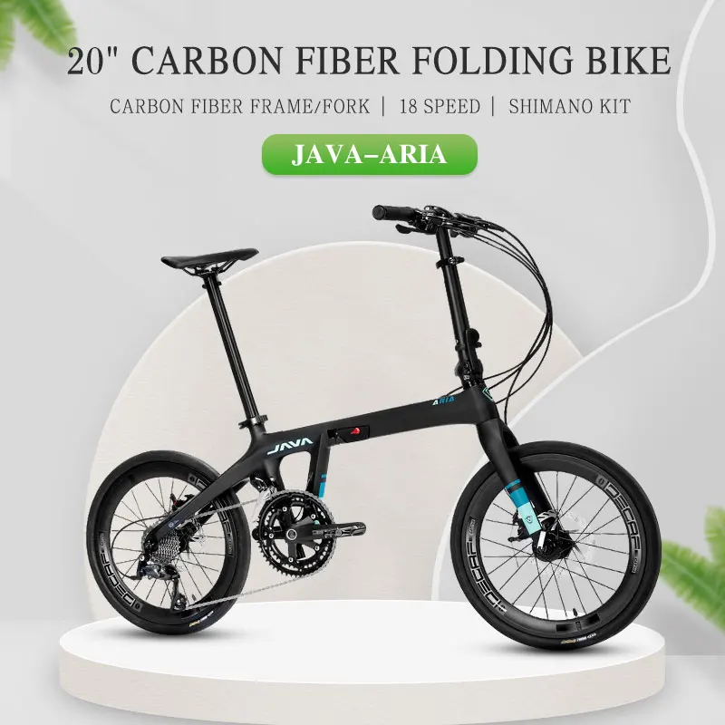 Carbon Fiber 20" 18-Speed Folding Bike with Hydraulic Disc Brake OEM