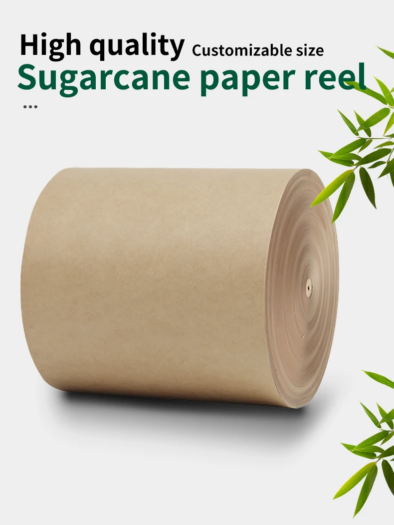 Sugarcane Pulp Paper - Biodegradable & Recyclable Sheets