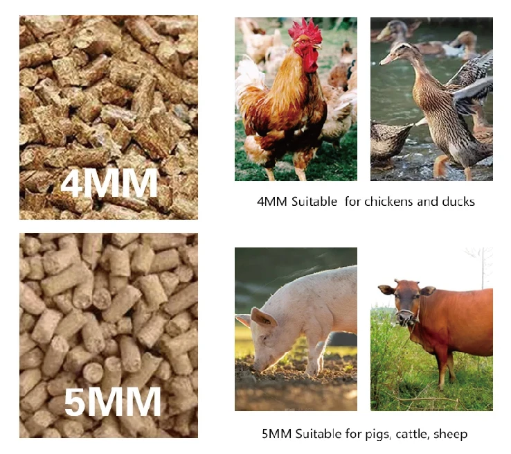 4mm 5mm 6mm Diesel Engine Feed Processing Machine Animal Wood Pellets ...