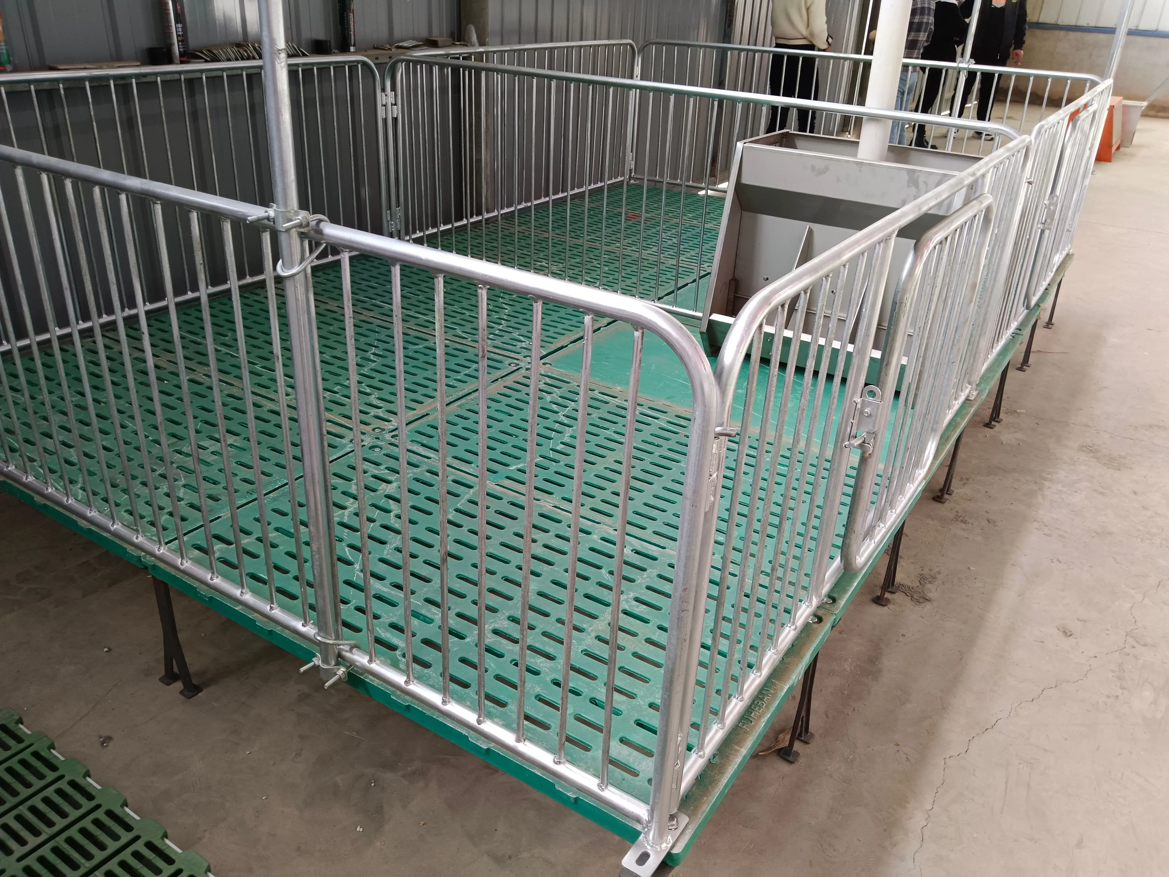 Customized Pig Gestation Stainless Steel Farrowing Crates