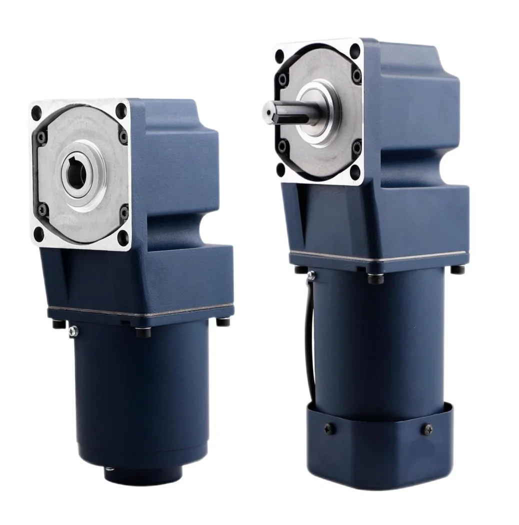 Ac Right Angle Hollow Shaft Micro Small Gear Motor 220v 5rk90gn-cf ...