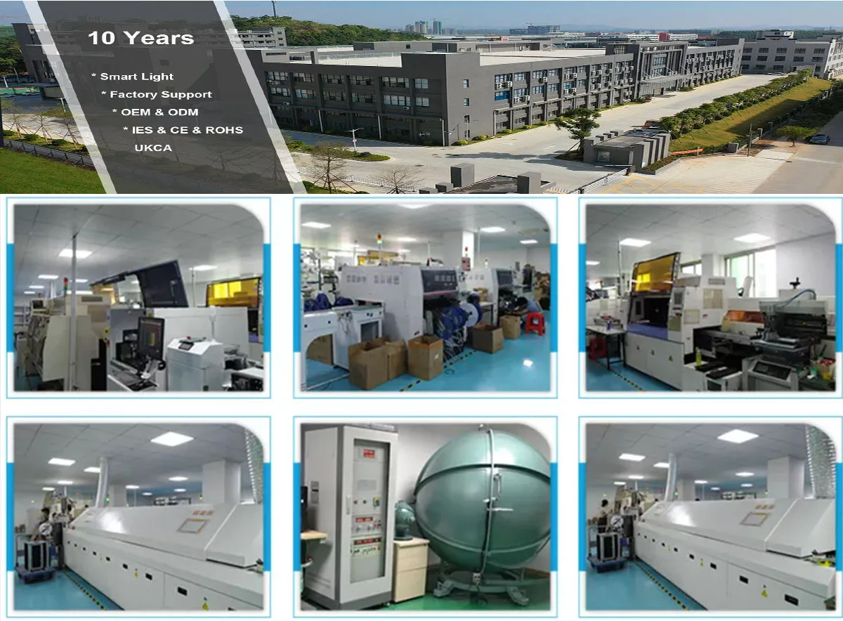 Company Overview - Shenzhen Rongyang Opt Technology Co., Ltd.