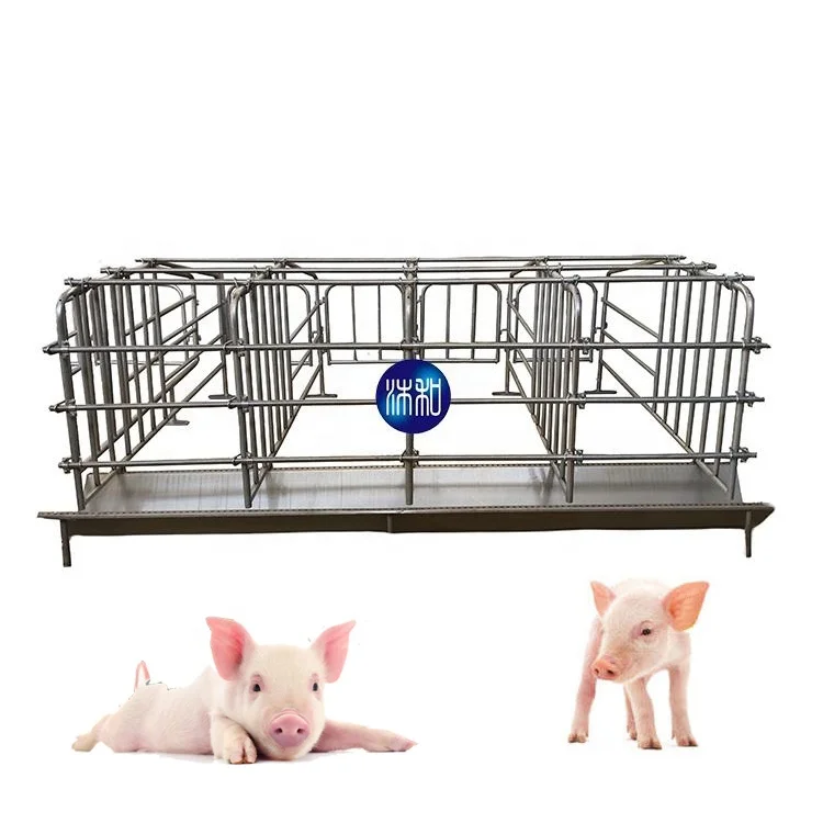 Hot Galvanized Pig Pen Gestation Stall Crate House for Selling ...