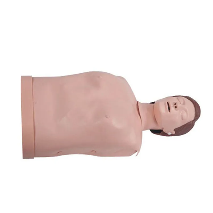 Simple Version Of Cardiopulmonary Resuscitation Simulated Human Body ...