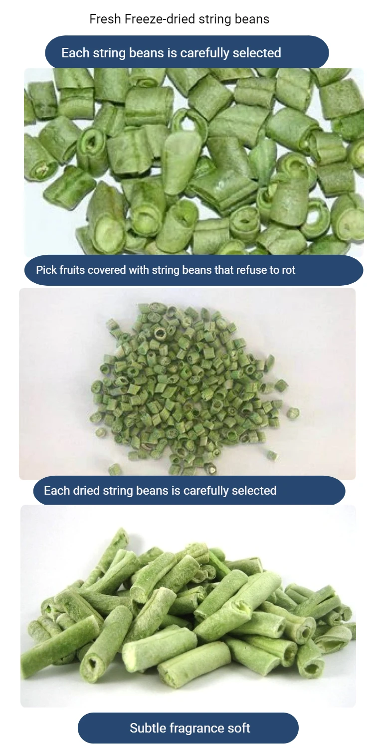 Freeze Dried Vegetable Freeze Dried Green Bean - Buy Freeze Dried ...