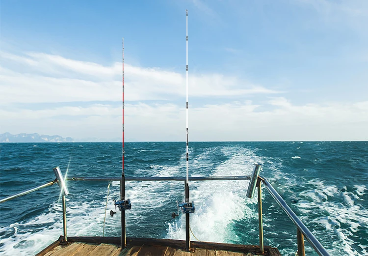6ft 182cm 50lb Boat Spinning Rods - Heavy Saltwater Fishing