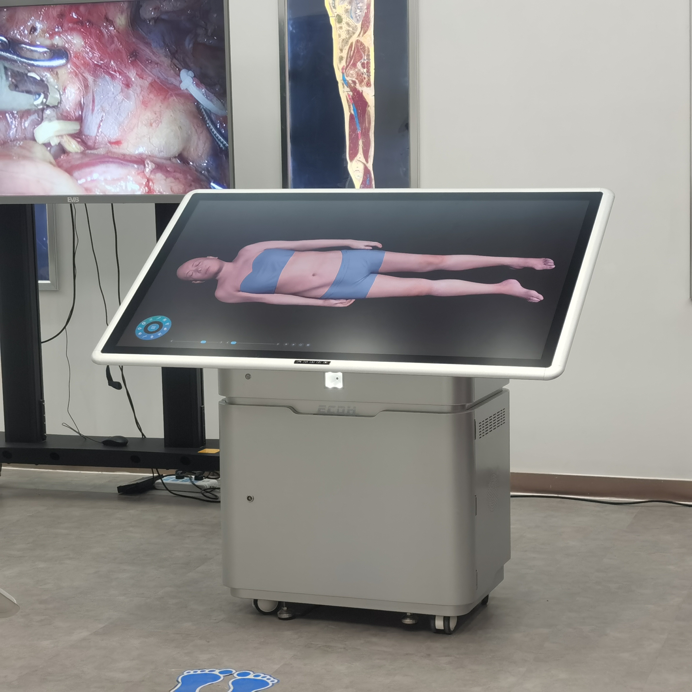 Ecdh-int II 55 Digihuman Virtual Anatomy Table for Medical Science