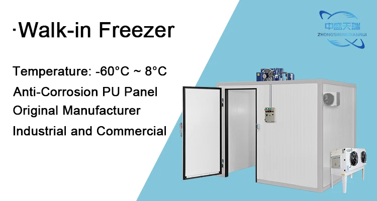 45c Freezing Chamber - Efficient Cold Storage Solutions