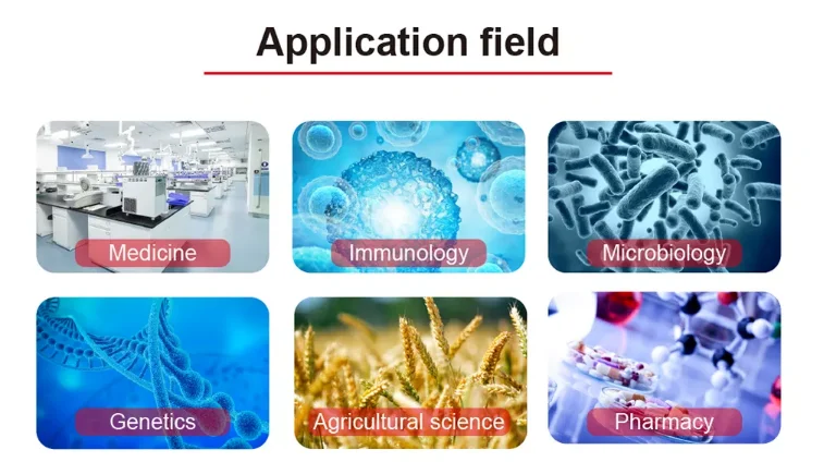 240L Digital Shaking Incubator - Efficient Microbiology Lab