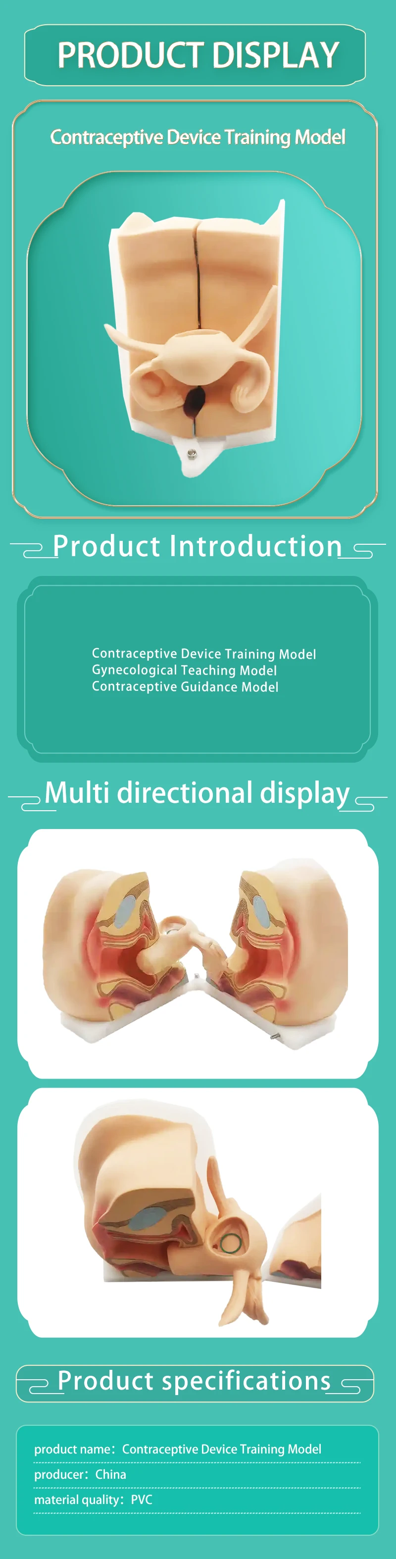 Contraceptive Device Training Model - Gynecological Model