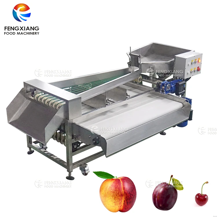 Sus 304 Emblic Leafflower Sorting Grading Machine Apricot Seeder ...