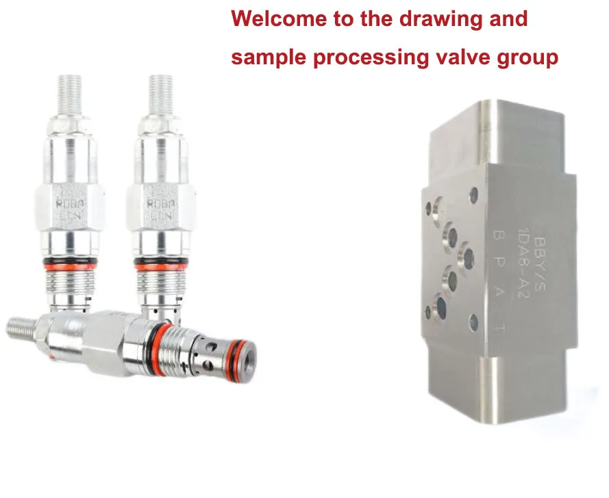 RBAA-LAN Pressure Relief Valve - Reliable Hydraulic Solutions