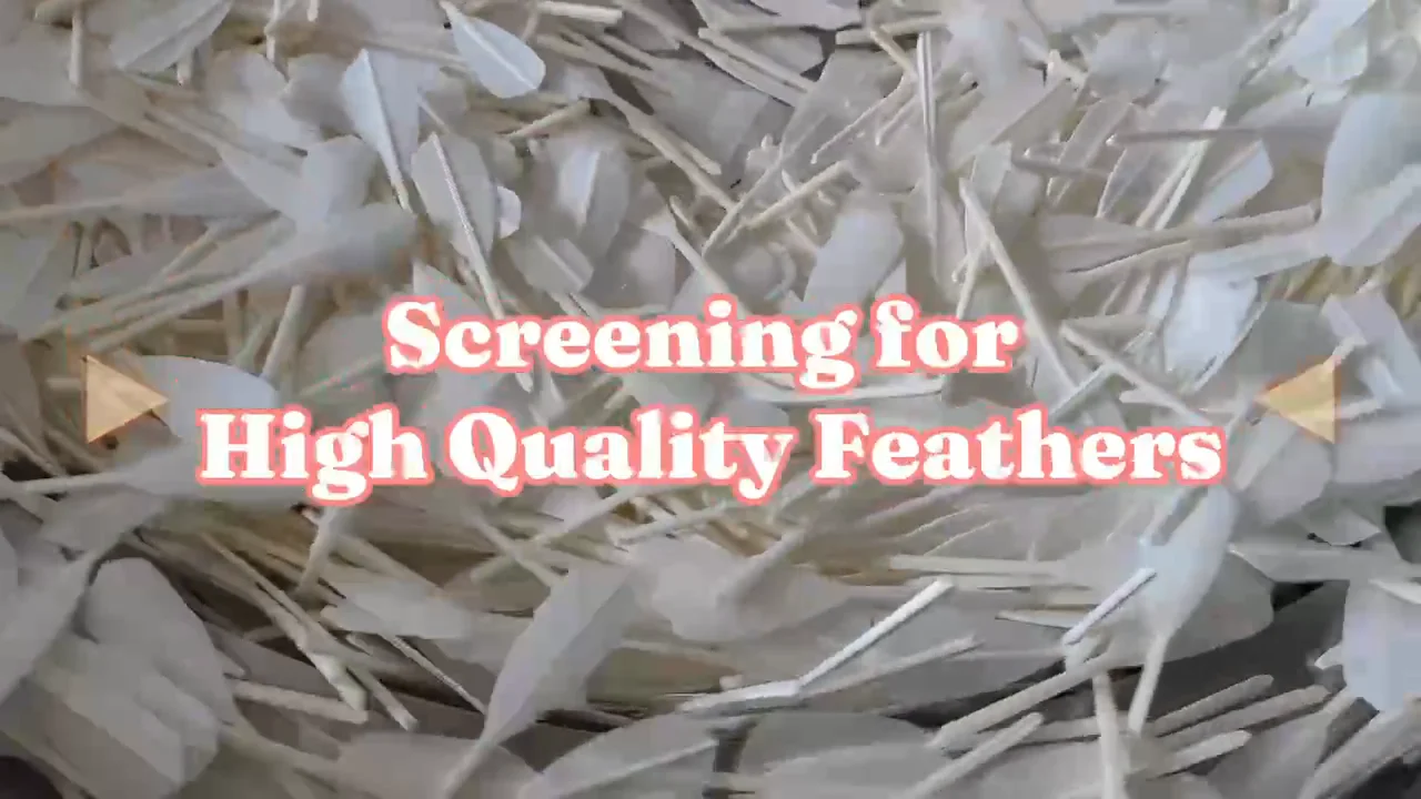 Ready To Ship Tcx-ace Shuttlecock Class A Goose Feather Sandwich Cork ...