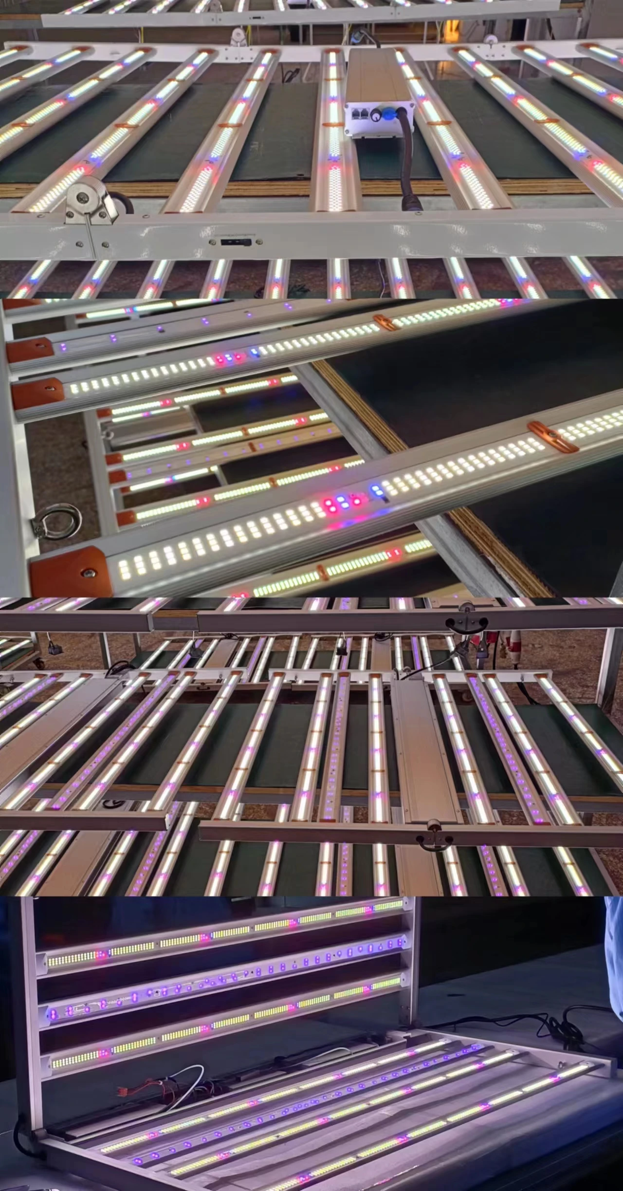 Optimizing The Efficiency Of Shaded Leaves And Enhancing Plant Growth ...