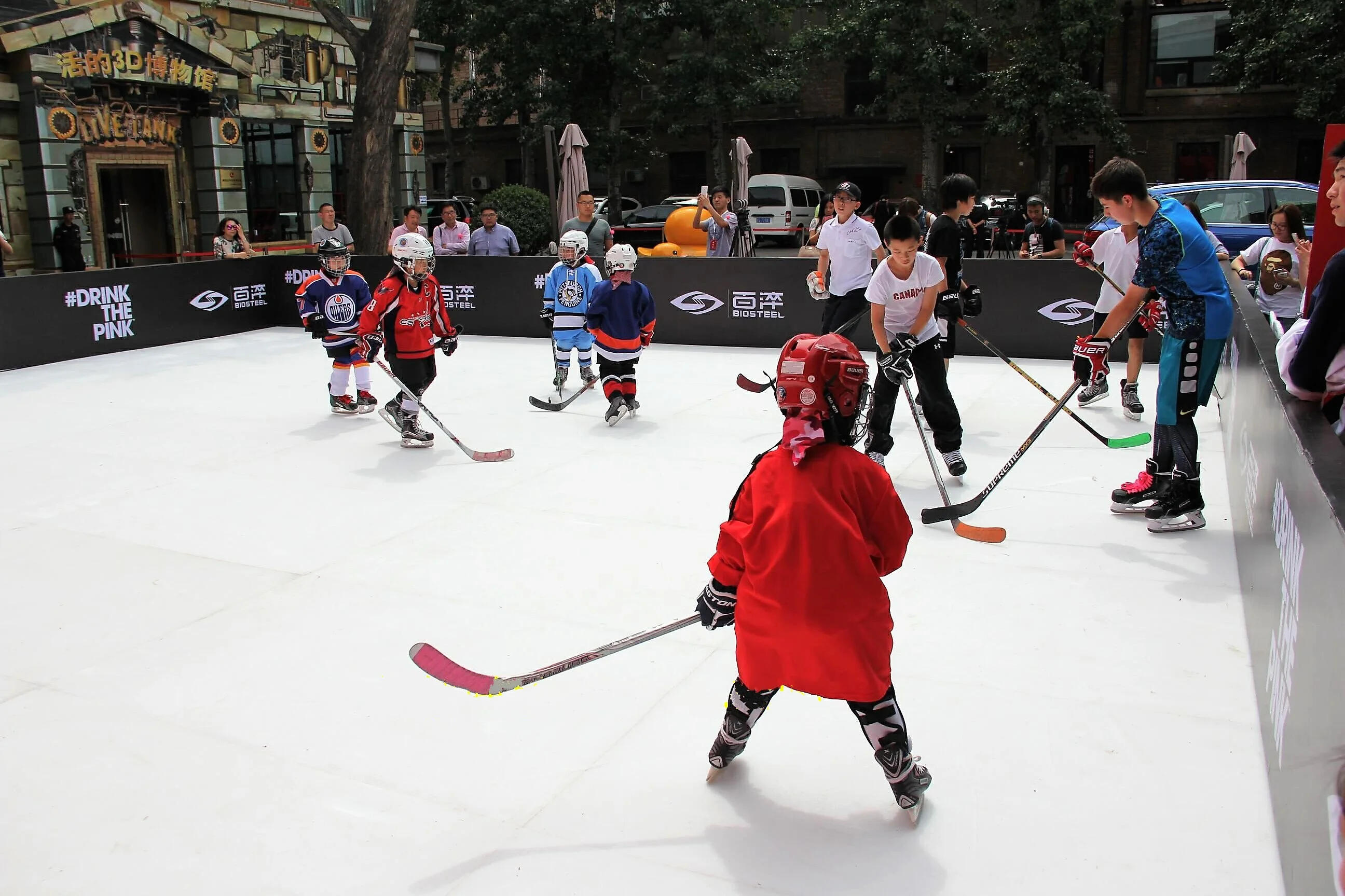 Factory Price Flooring Zsfloor Skating Rinks Backyard Synthetic Ice ...