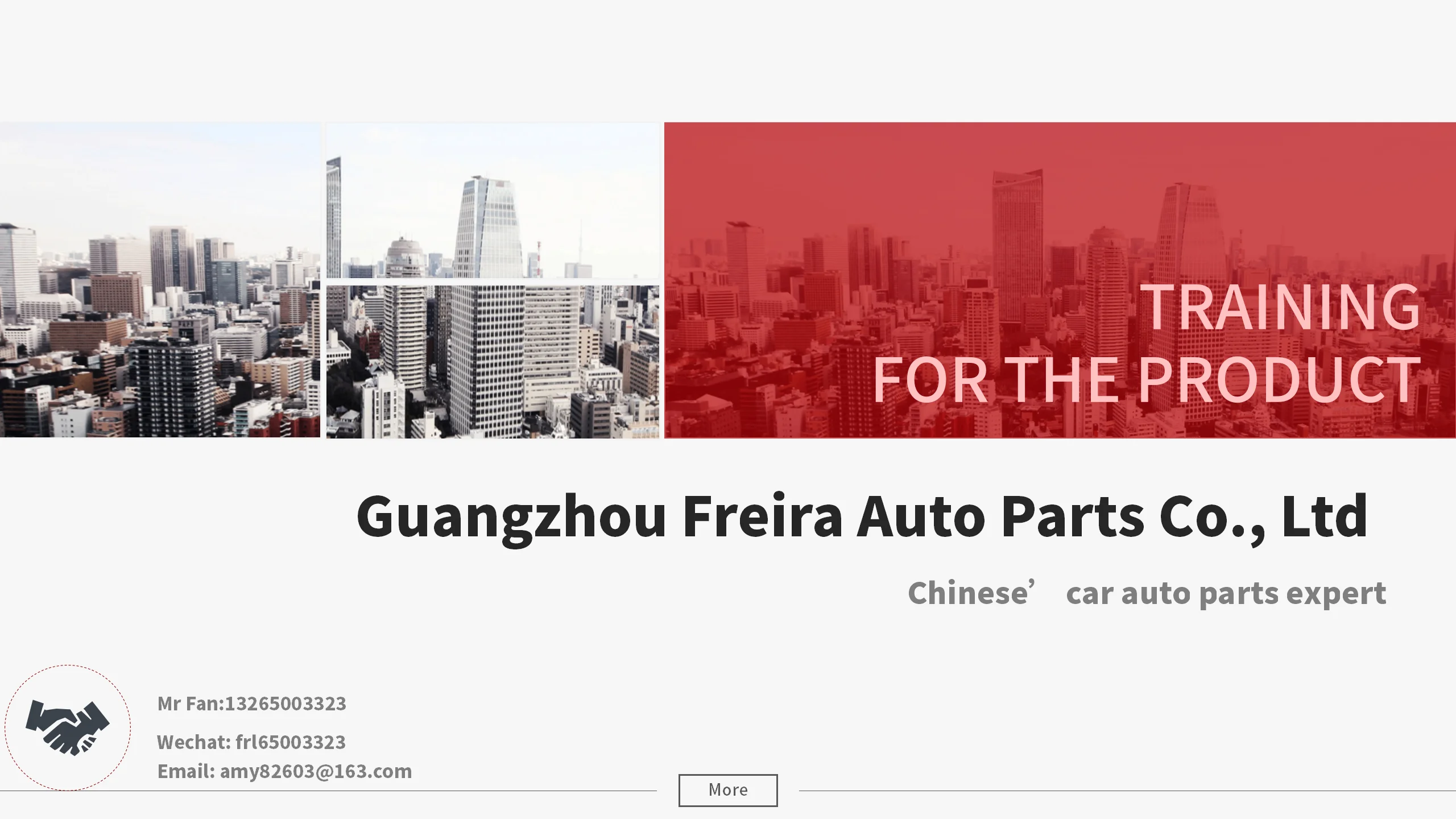 Outside the Tail Light for HAVAL JOLION 4133100XST01A 4133101XST01A ...