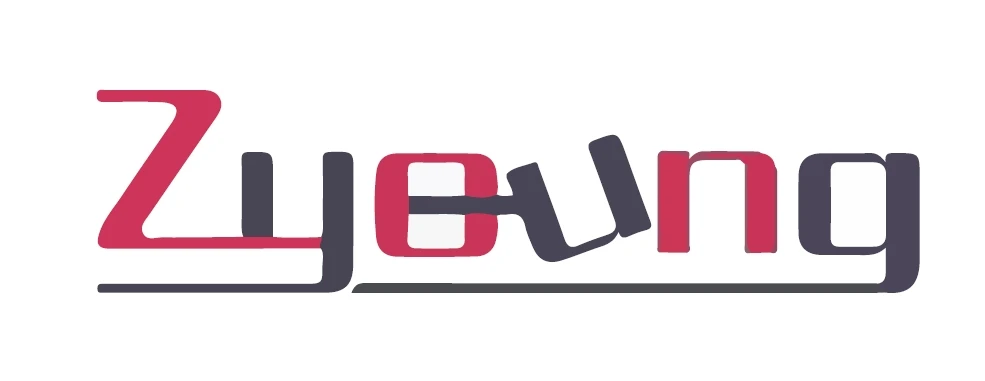 Company Overview - Ningbo Zyoung Ergonomic Co., Ltd.