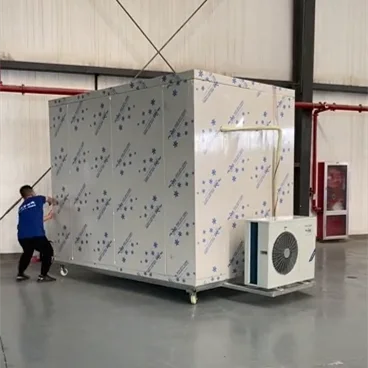 20ft Container Solar Powered Food Cold Storage Rooms Walk In Freezer ...