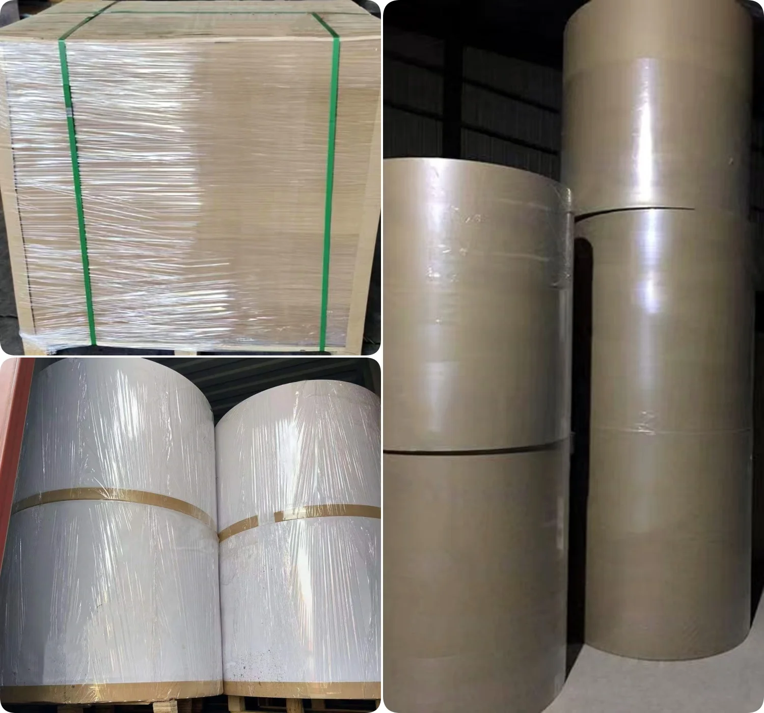 250gsm Duplex Board - Moisture Proof & Versatile Packaging