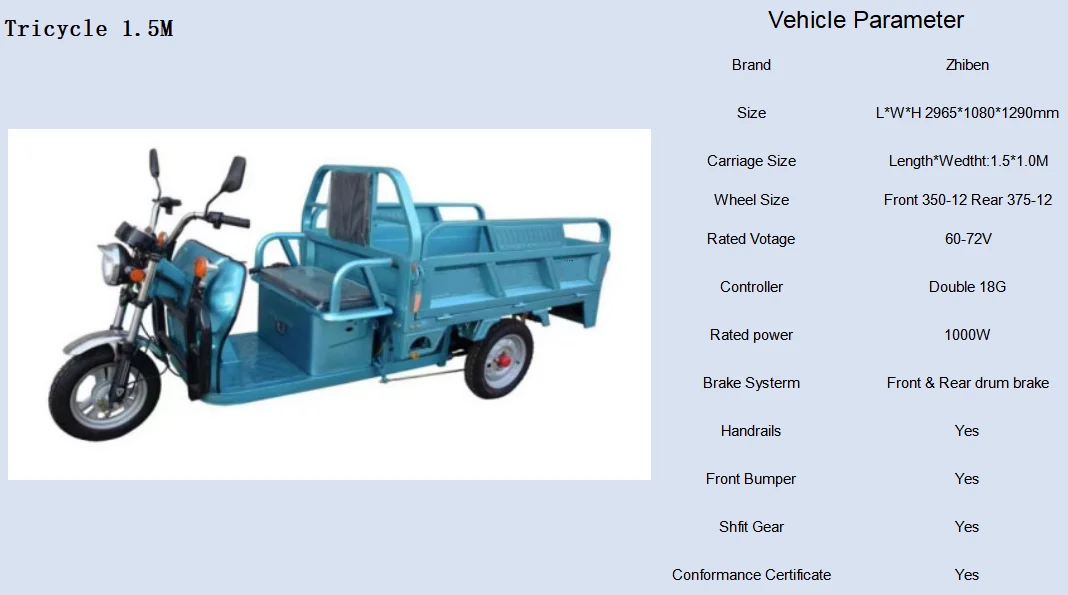 Electric Adult Tricycle Foldable E-Rickshaws Customized Three Wheels ...