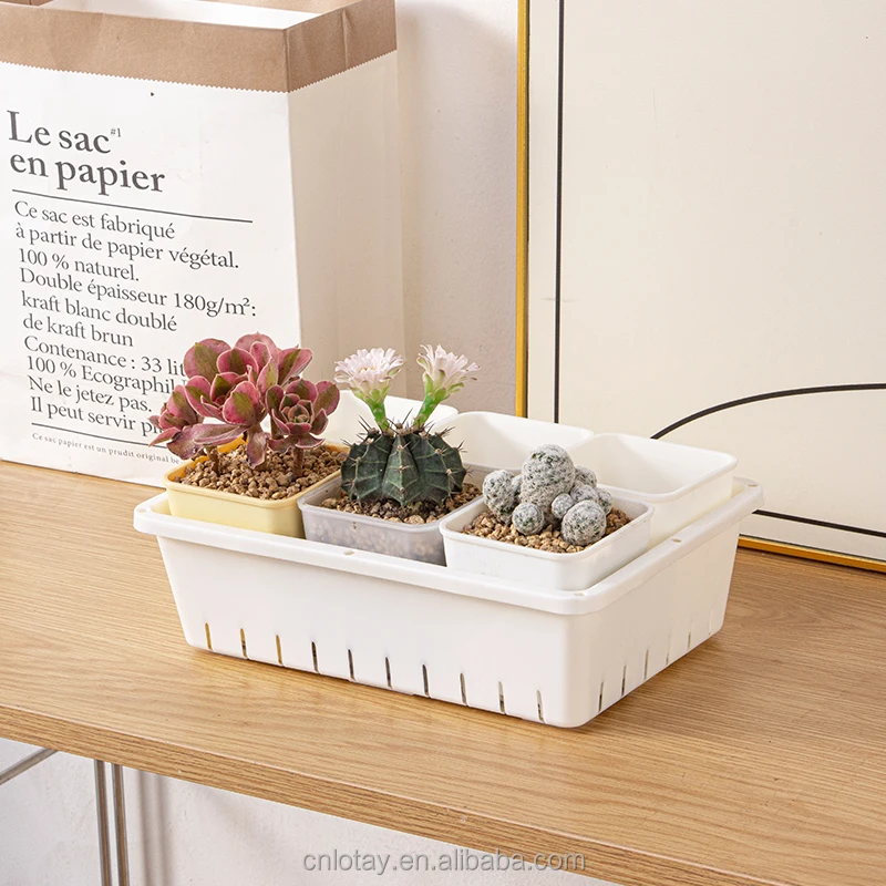 Cheap Square Plastic Slit Dendrobium Haworthia Succulent Planter Pot ...