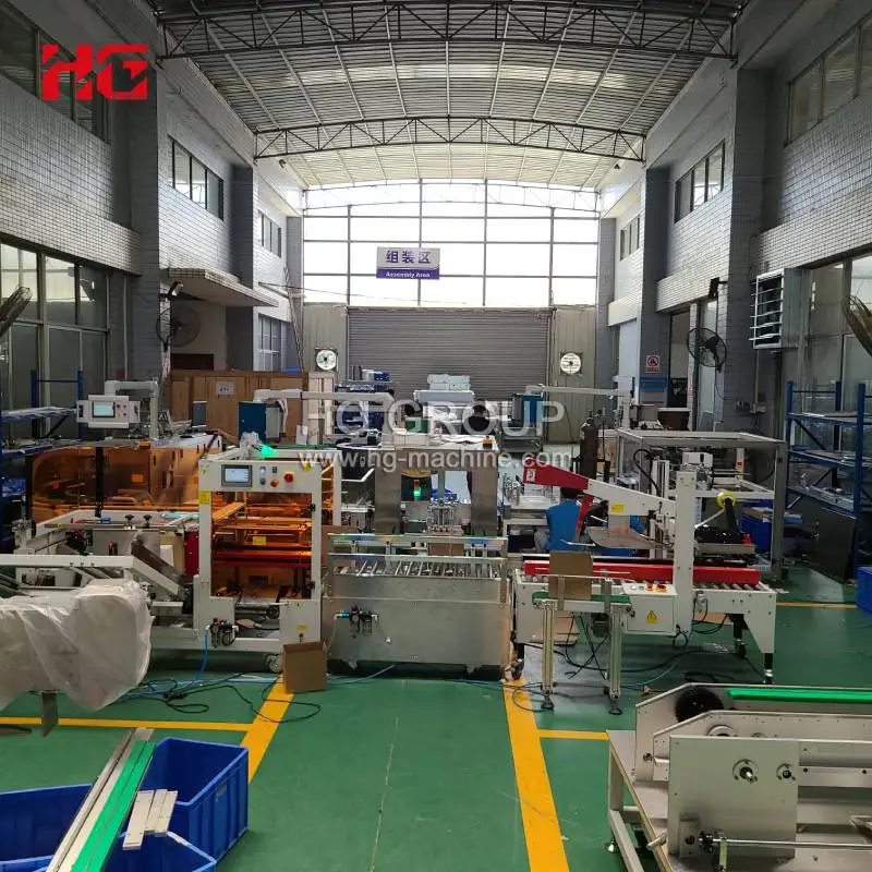 Fully Automatic Biscuit Packaging Machine - Efficient & Reliable