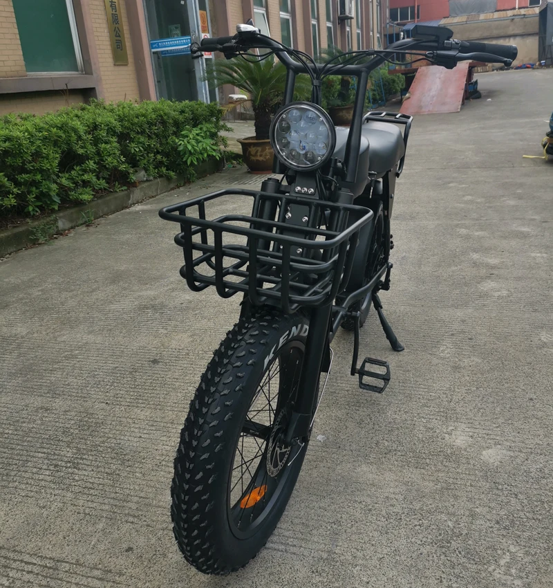 20 Inch 750w Dual Battery Electric Fat Tire Mountain Bike Vintage Bici ...