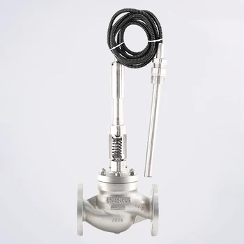 16bar 25bar Stainless Steel 304 Direct Acting Temperature 2 Way Flange ...