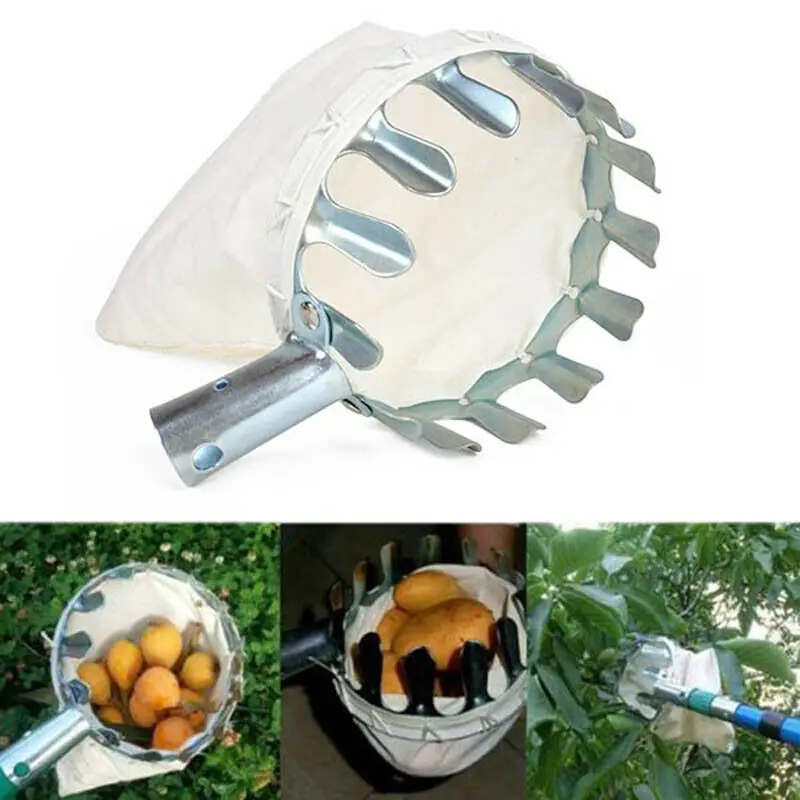 Metal Fruit Picker Gardening Garden Peach Apple Tree High Collection ...