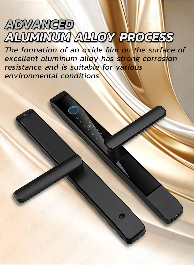 Kadonio Wholesale Price Use High Security Mortise Aluminum Slim TTLock ...
