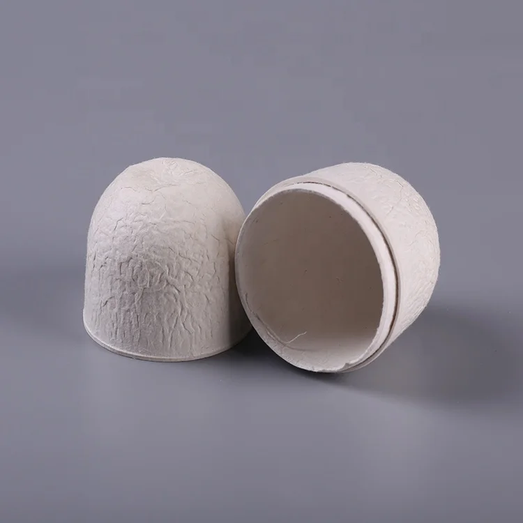 Custom Biodegradable Pulp Molded Capsule Packaging Box
