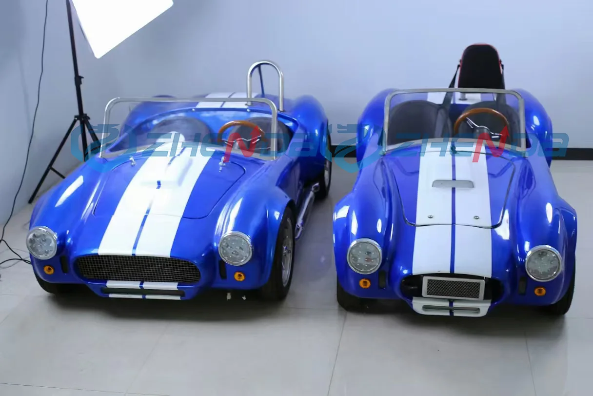 Two-seater Cobra Mini Fast Go Kart Special Transport Electric Mini ...