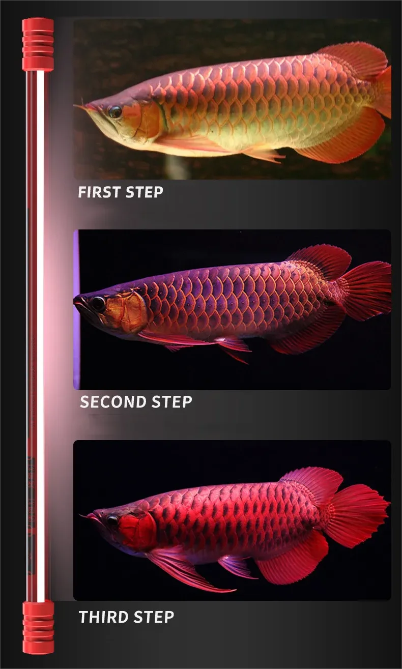 T5 Submersible Tanning Lights - Perfect for Arowana
