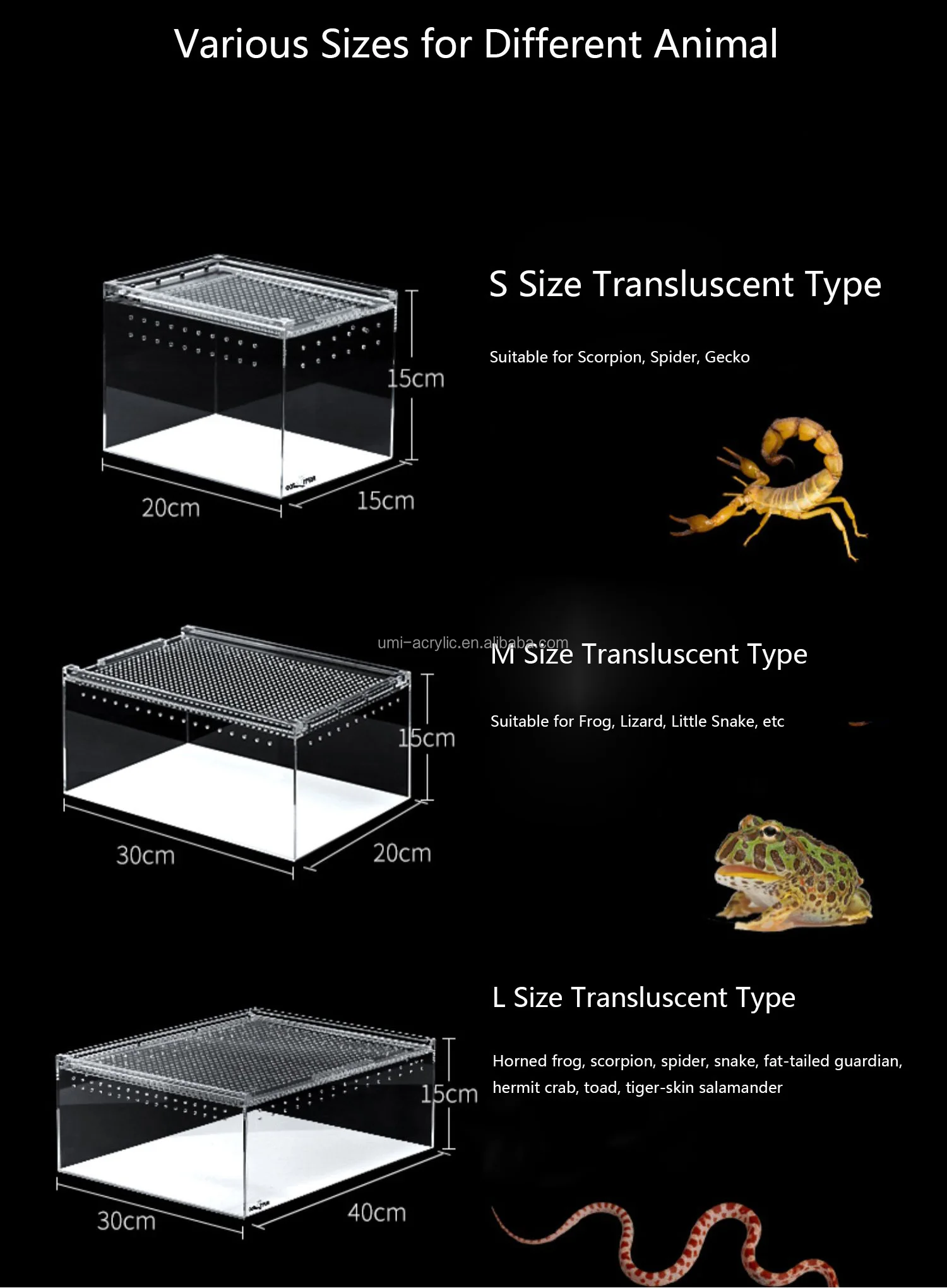 Customized Clear Acrylic Terrarium Pet Reptile Reptile Display Case ...