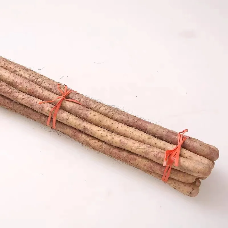 Fresh Chinese Yam - White Yam for Sale from Shandong, China