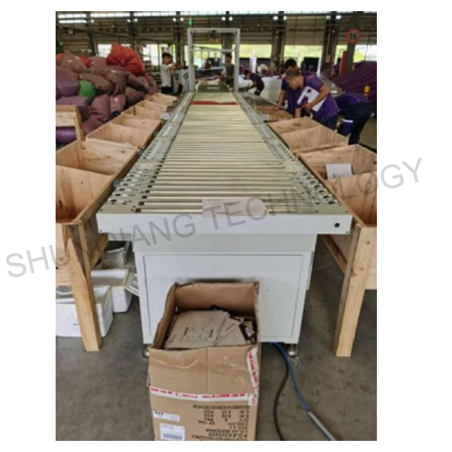 High Efficiency Machine Sorted Parcel Sorter Ecommerce Parcel Sorting ...
