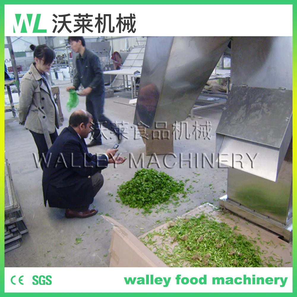 China Stem and Leaf Separator Machine Equipment - Video Inspection