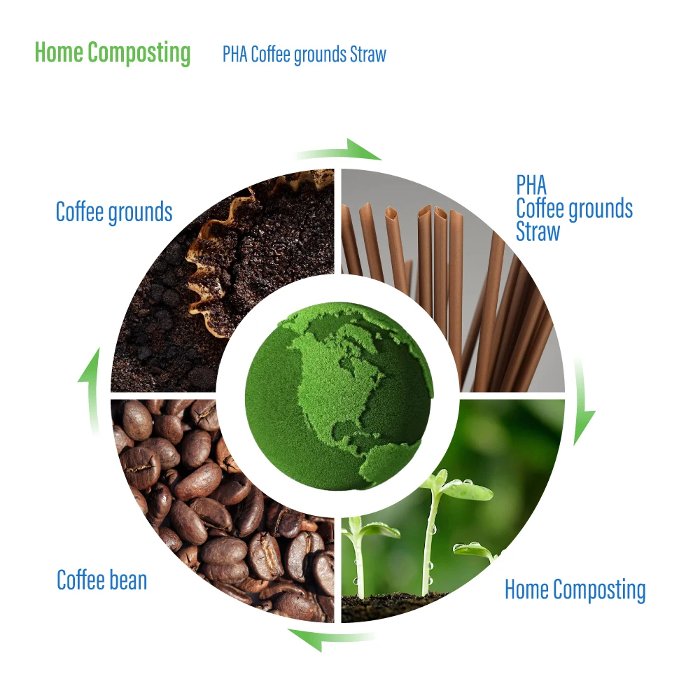 Eco Friendly PHA PBS PLA Biodegradable Home Compostable Beverage Straws ...