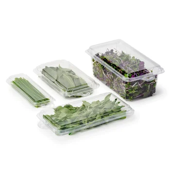 0.75-1 Oz.plastic Herb Container Transparent Clamshell Packaging Hinged ...