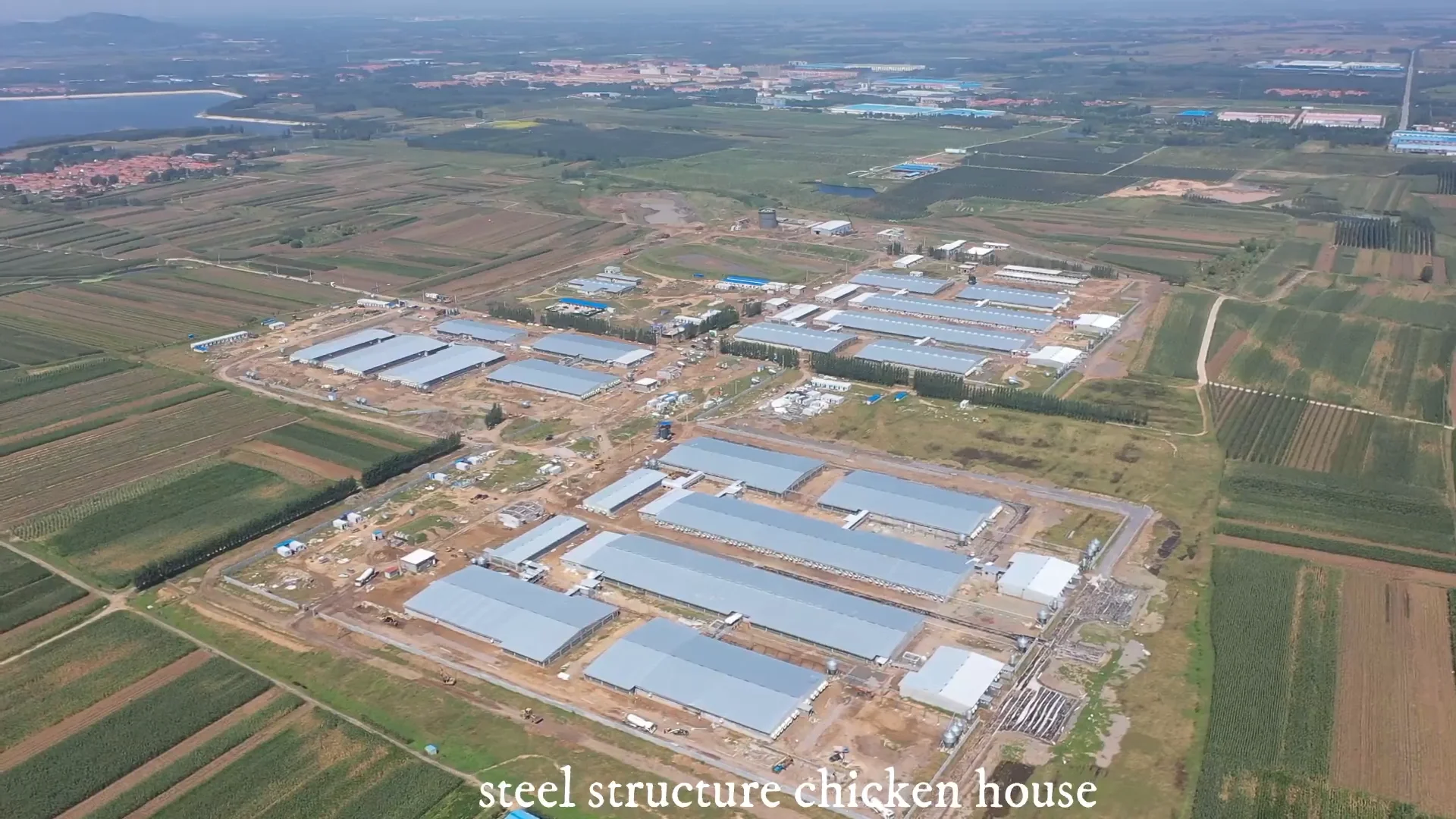 Steel Structure Chicken House Broiler House Farm Shed Poultry Building ...
